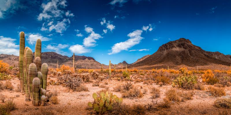 TravelTV - Arizona